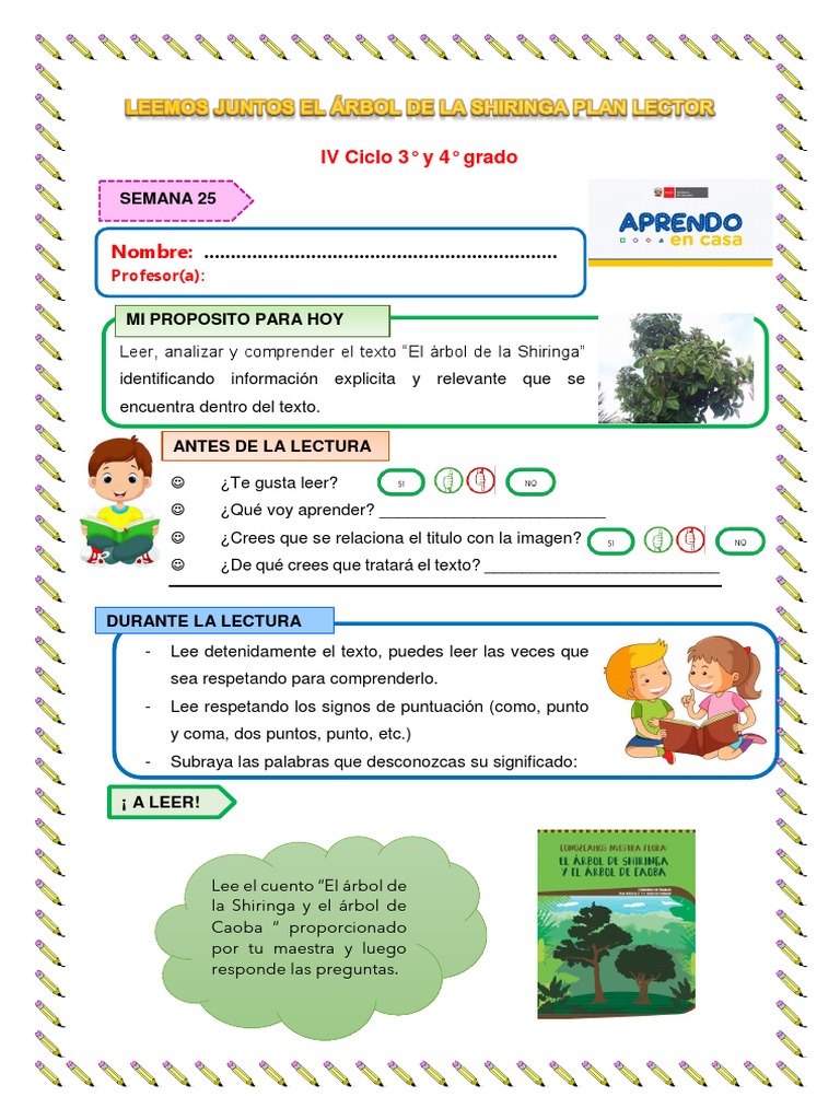 El árbol de la Shiringa: Un recurso natural valioso para la Amazonía | PDF