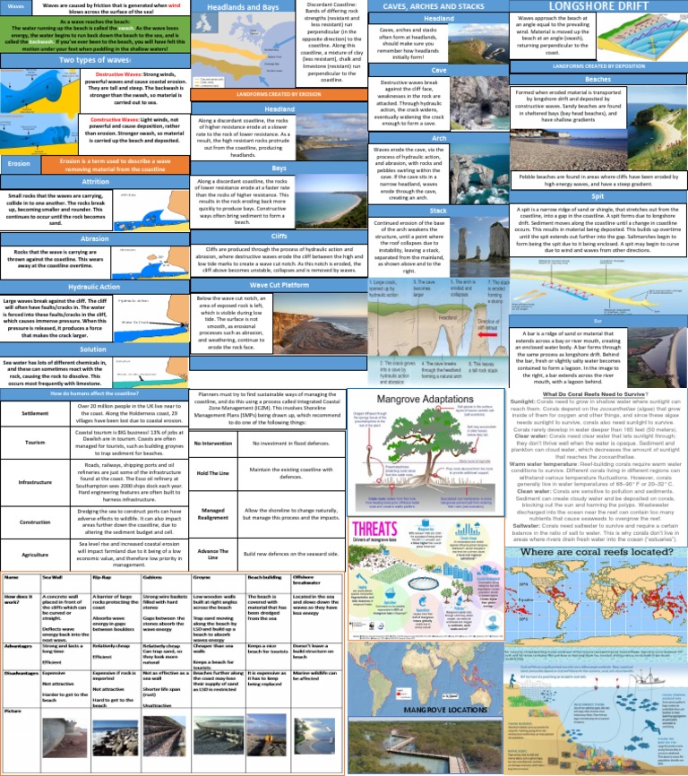 Coasts Knowledge Organiser IGCSE | PDF | Erosion | Coral Reef