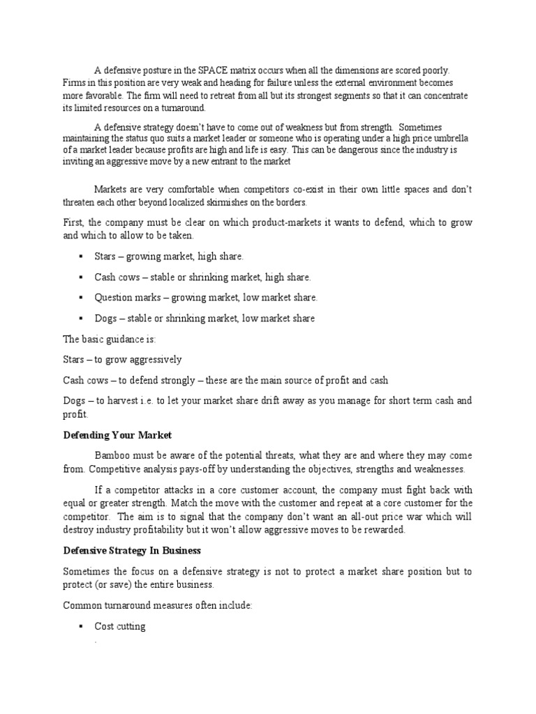 Space Matrix Pdf Profit Economics Market Economics