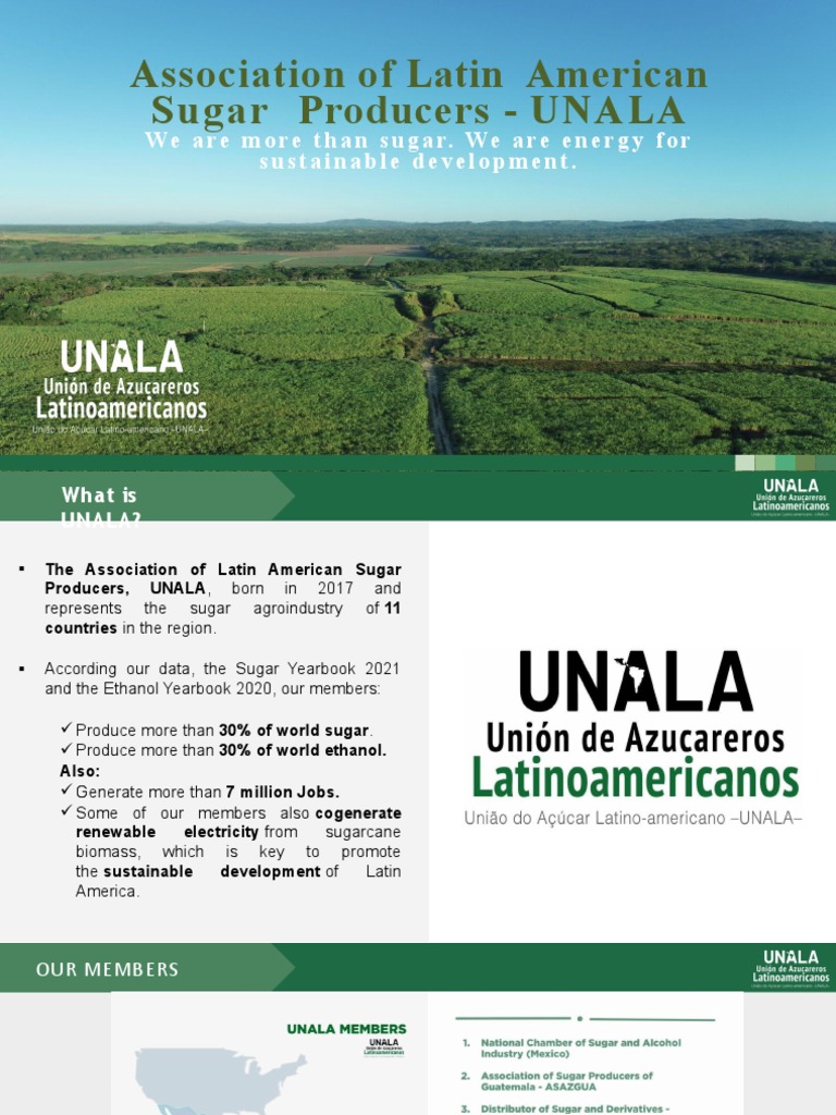 Gustavo Paredes - UNALA | PDF | Sugarcane | Sustainability
