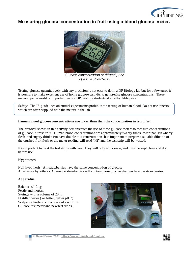 Blood Glucose Meter Experiment With Fruit2 | PDF | Glucose | Experiment