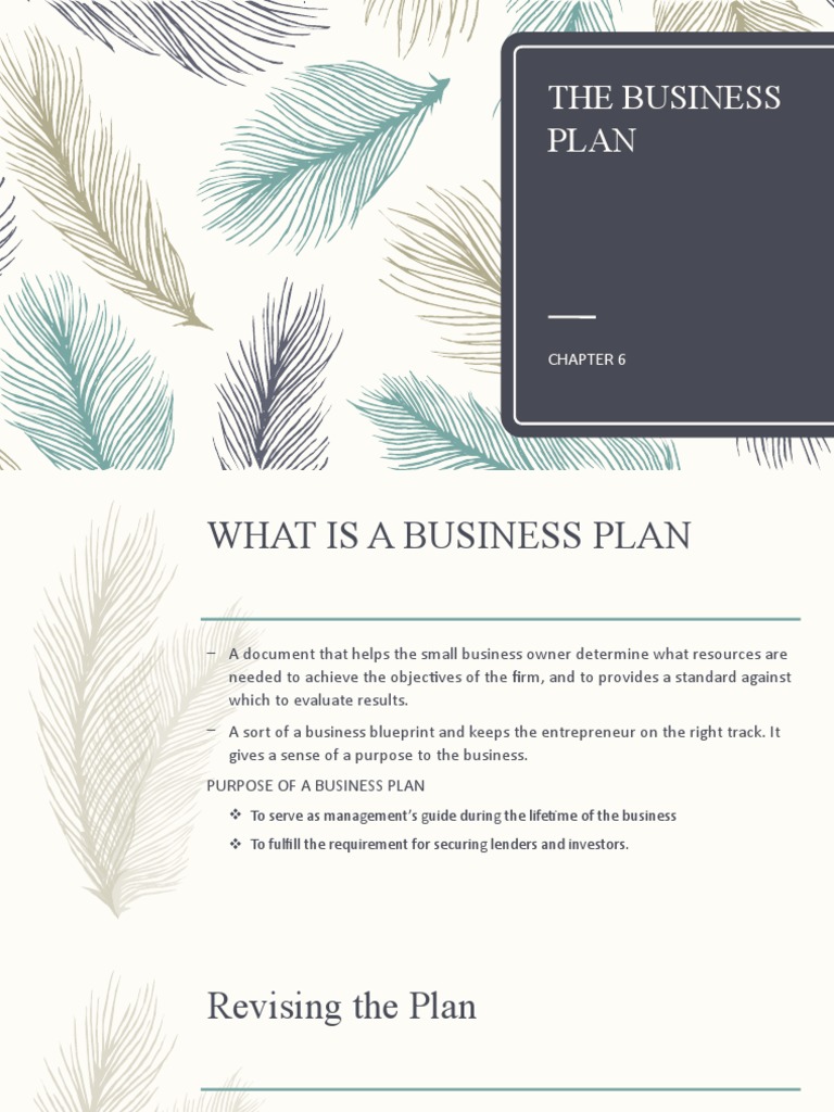 Chapter 6 The Business Plan | PDF | Pricing | Balance Sheet