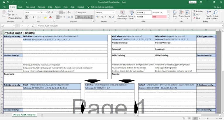 IAC Process Audit Template | PDF