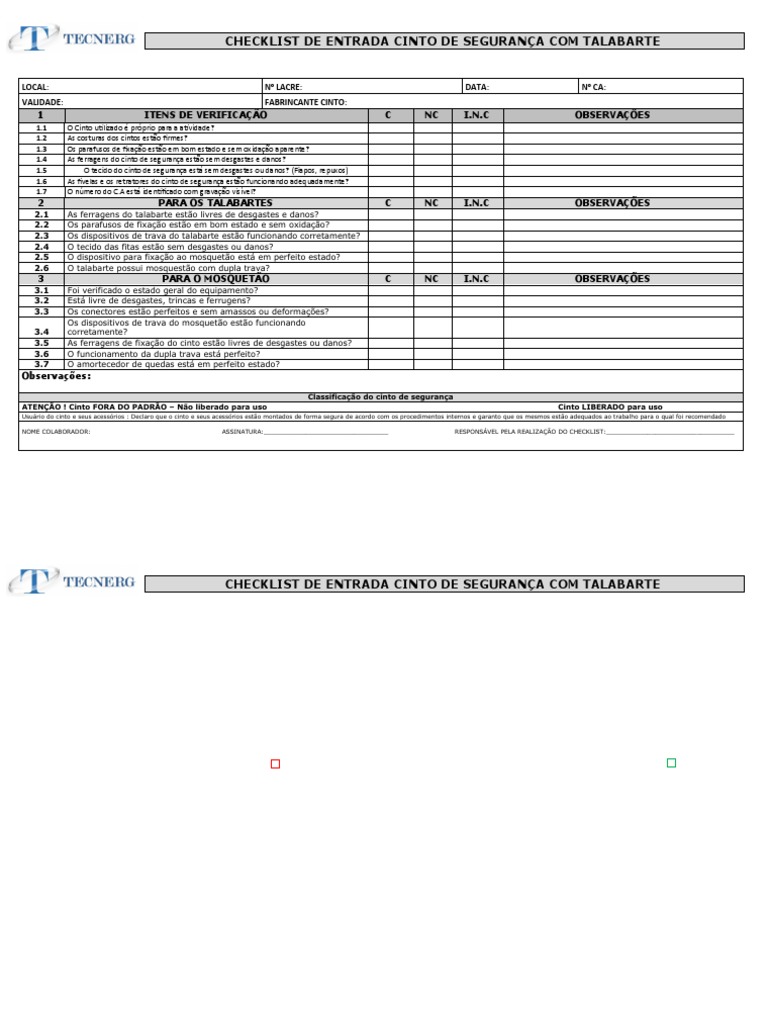 Checklist Entrada Cinto de Segurança | PDF