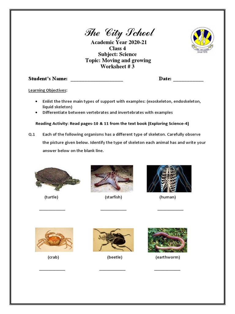 Week-2 (Worksheet-3) Class-4 | PDF