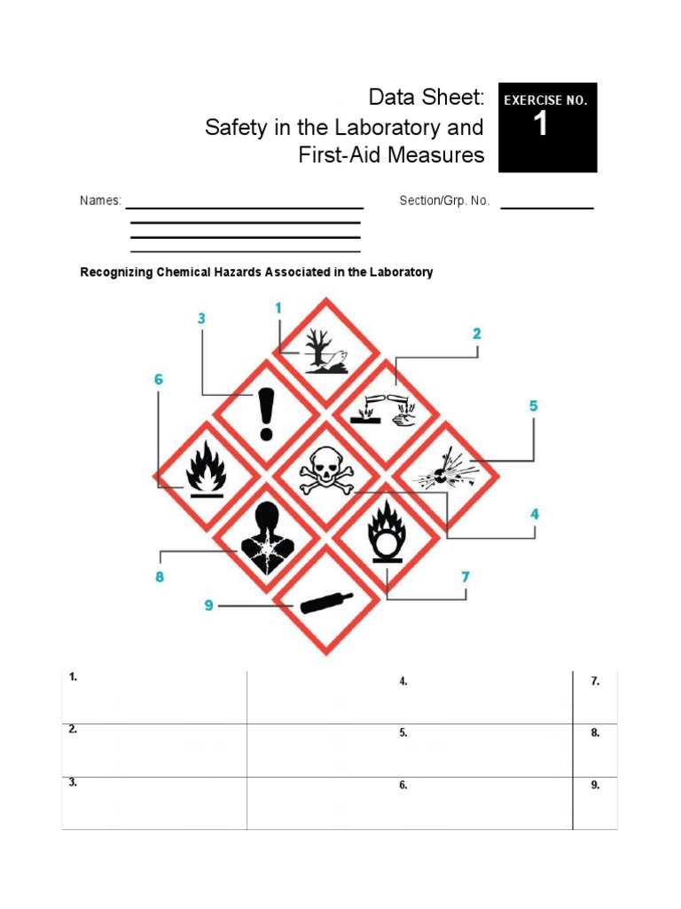 PH-PHR 113L - Exercise 1 (Data Sheet) | PDF