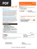 Duke Energy Bill | PDF