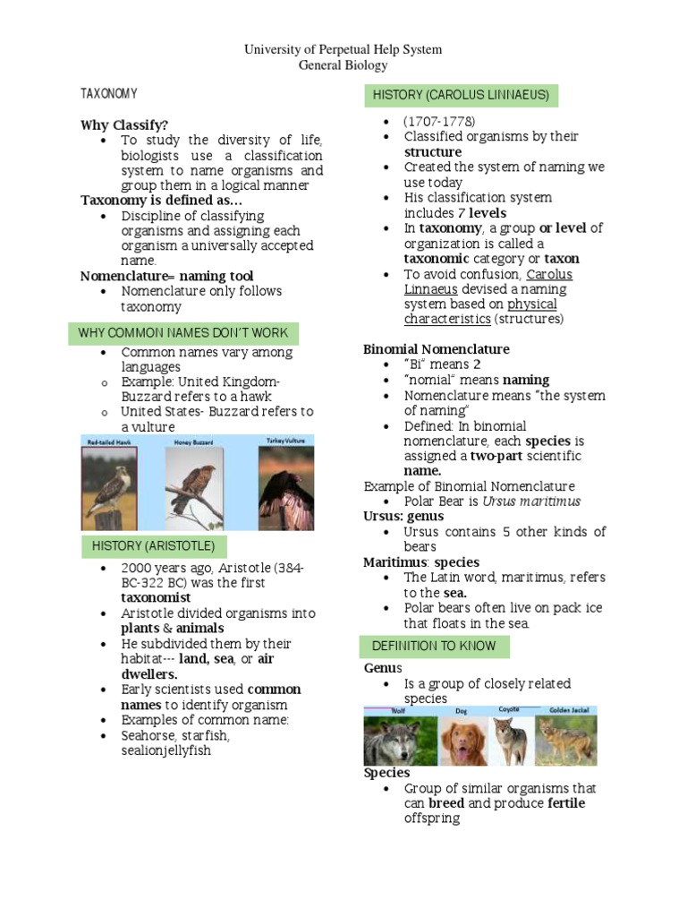 General Biology TAXONOMY | PDF | Taxonomy (Biology) | Virus