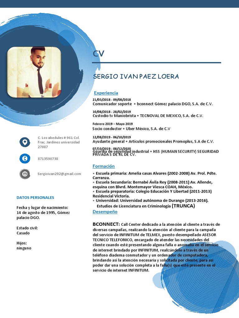 CV Sergio Ivan-1 | PDF | Business