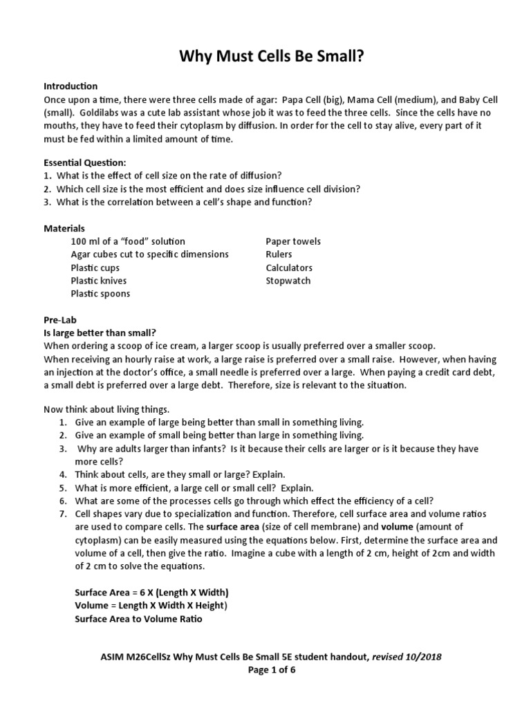 Cell Size Student | PDF | Volume | Cell (Biology)