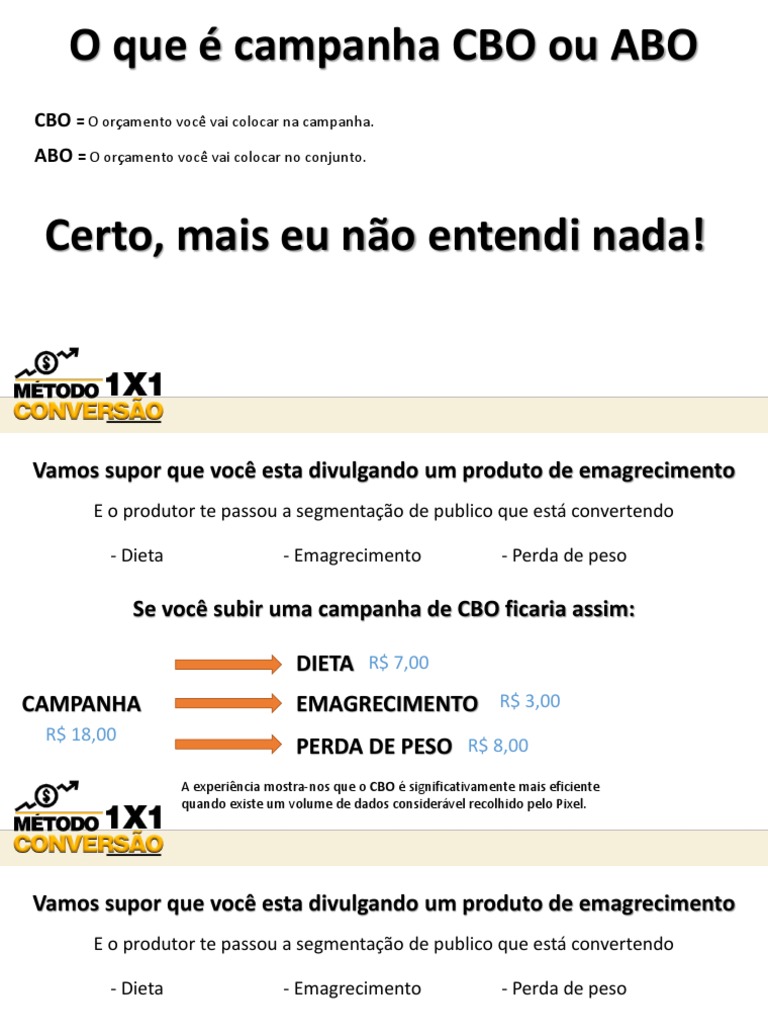 O Que É Campanha CBO e ABO | PDF