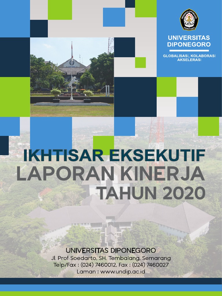Ikhtisar Eksekutif Laporan Kinerja UNDIP Tahun 2020 | PDF