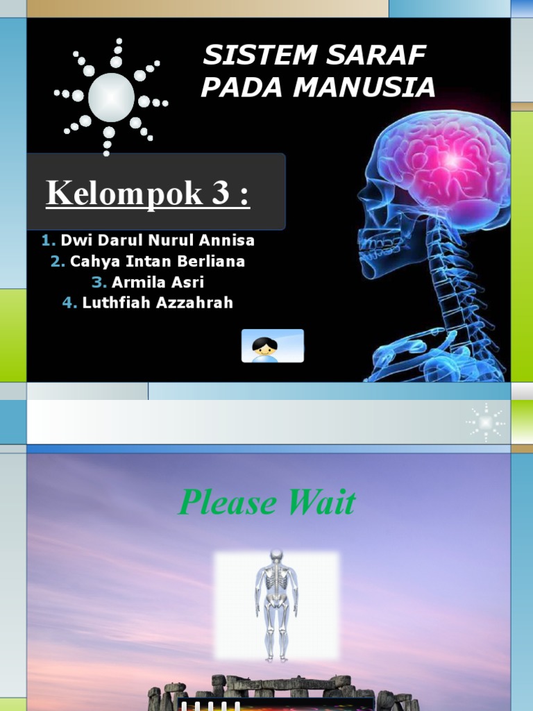 Sistem Saraf | PDF