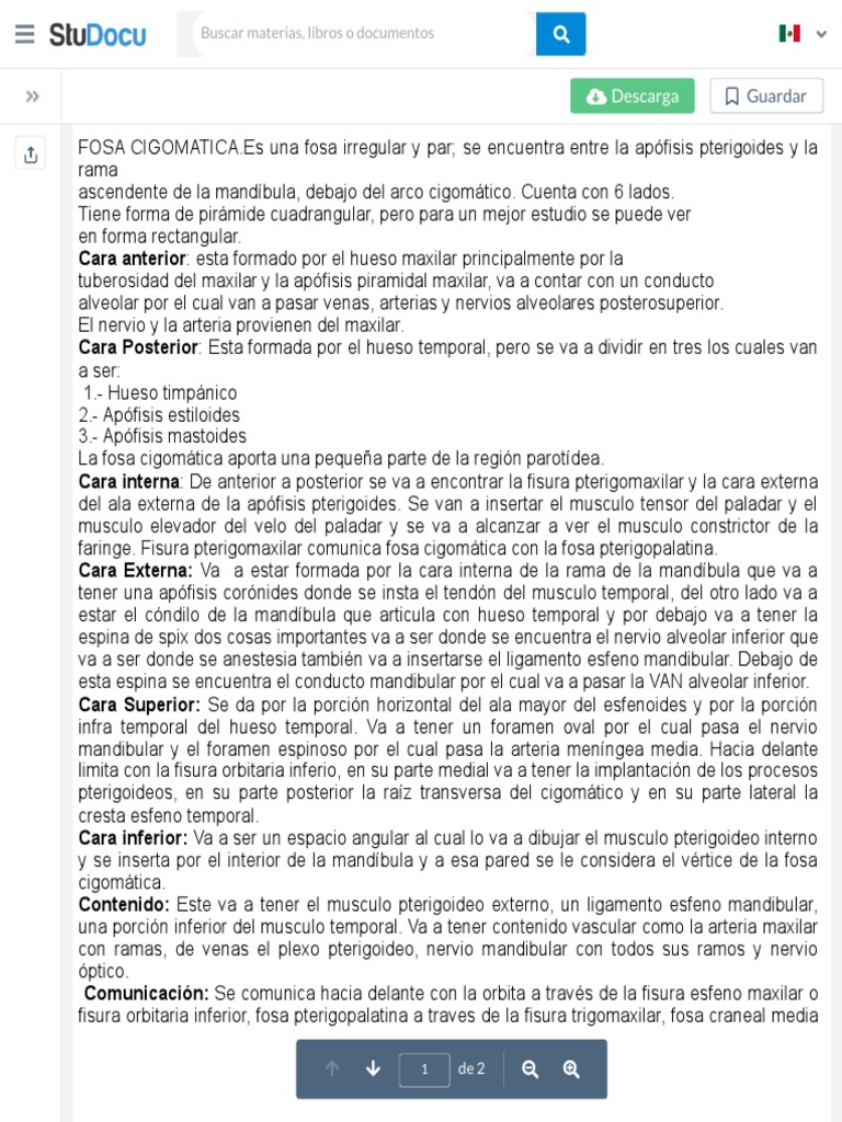 FOSA Cigomatica - Resumen Tratado de Anatomía Humana y Fosa ...