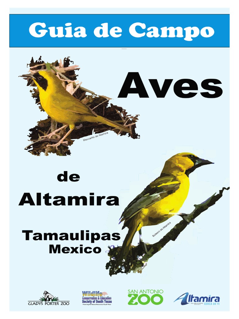 Guia Aves | PDF