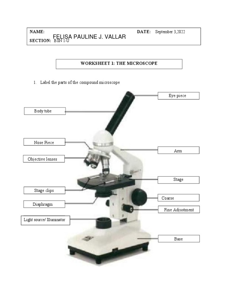 Microscope Pdf Lenses Electromagnetism