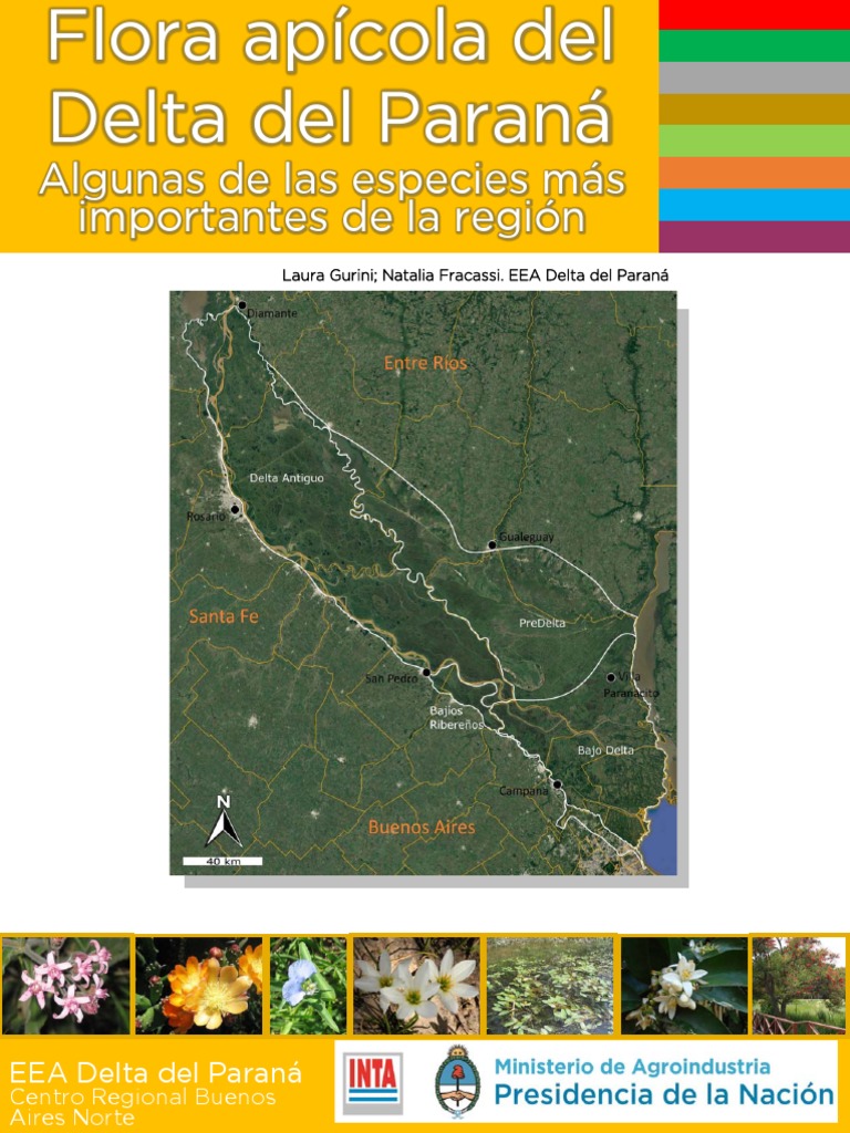 Flora Apícola del Delta del Paraná | PDF | Hoja | Arboles