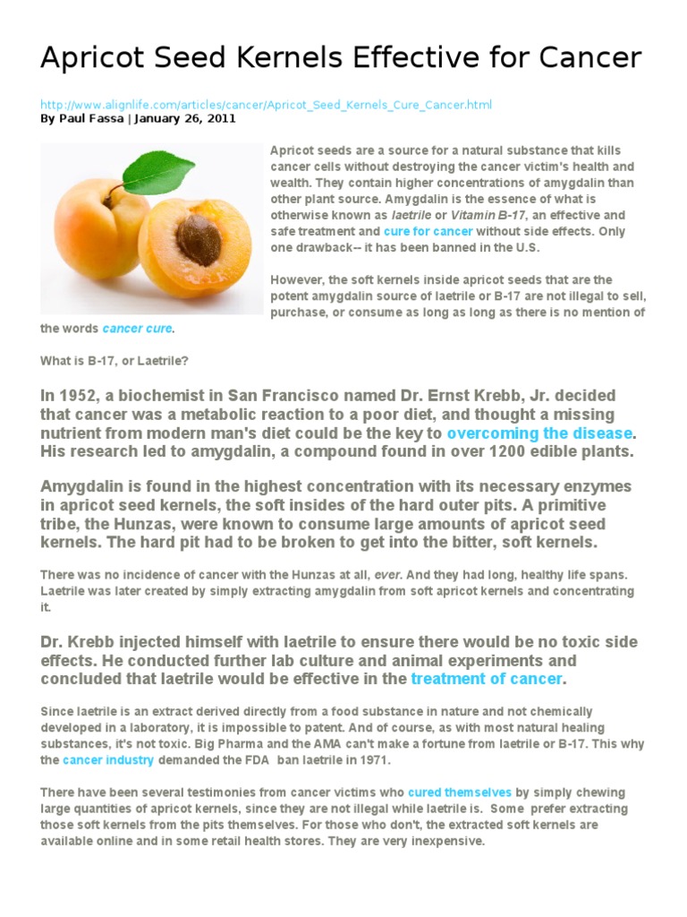 Apricot Seed Kernels Effective For Cancer | PDF | Seed | Cancer