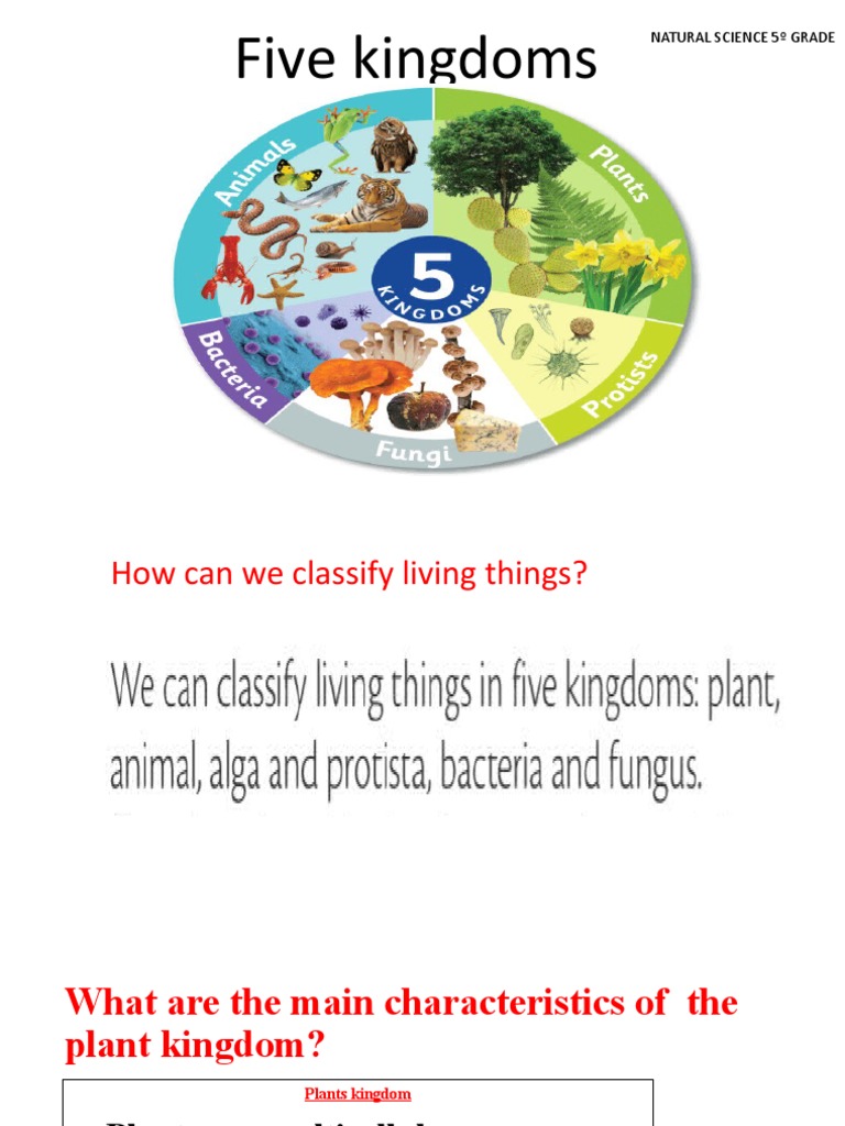 The Five Kingdoms. Scrib | PDF | Protozoa | Fungus