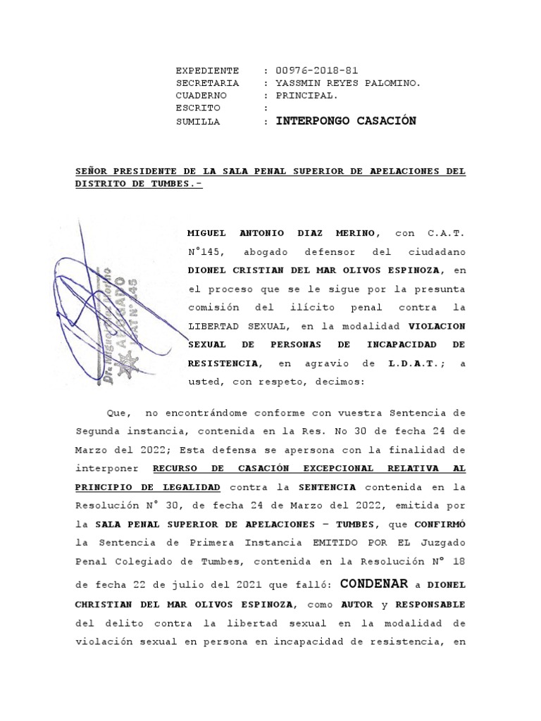 Casacion Leonel | PDF | Sentencia (ley) | Caso de ley