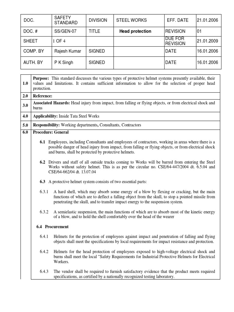 Head Protection | PDF