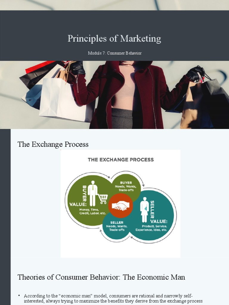 Chapter 7 Consumer Behaviour | PDF | Consumer Behaviour | Marketing