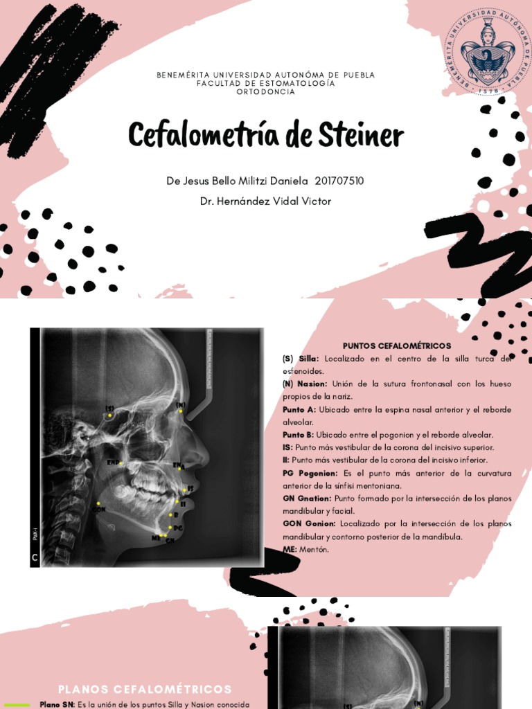 Cefalometría de Steiner | PDF | Cara | Ramas de Odontología