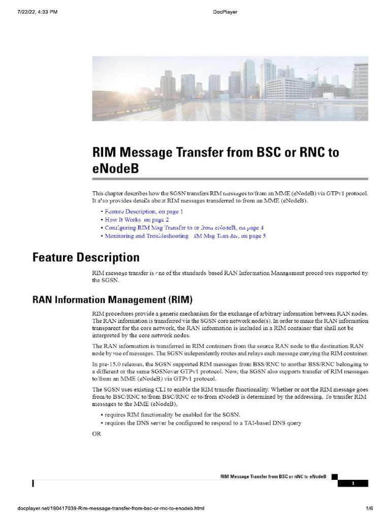 RIM Configuration SGSN | PDF