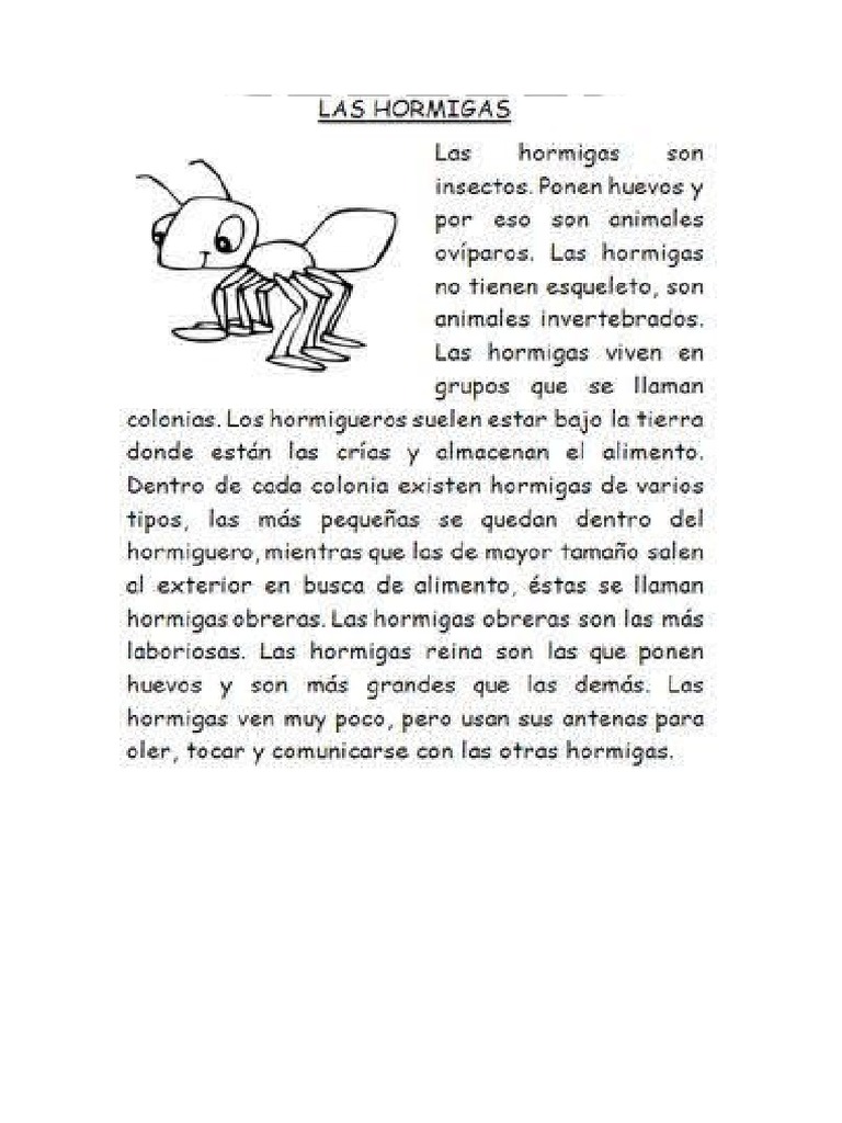 Las Hormigas | PDF