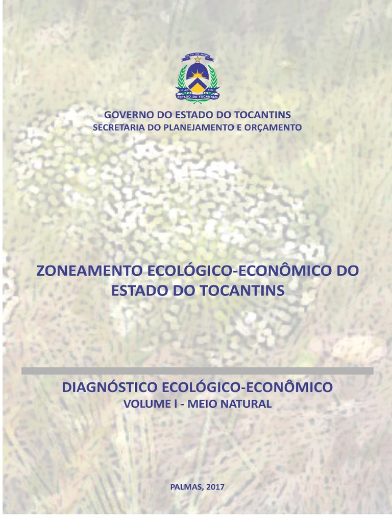 Zoneamento Ecol Gico Econ Mico Do Tocantins Diagn Stico Meio Natural | PDF | Paisagem | Clima