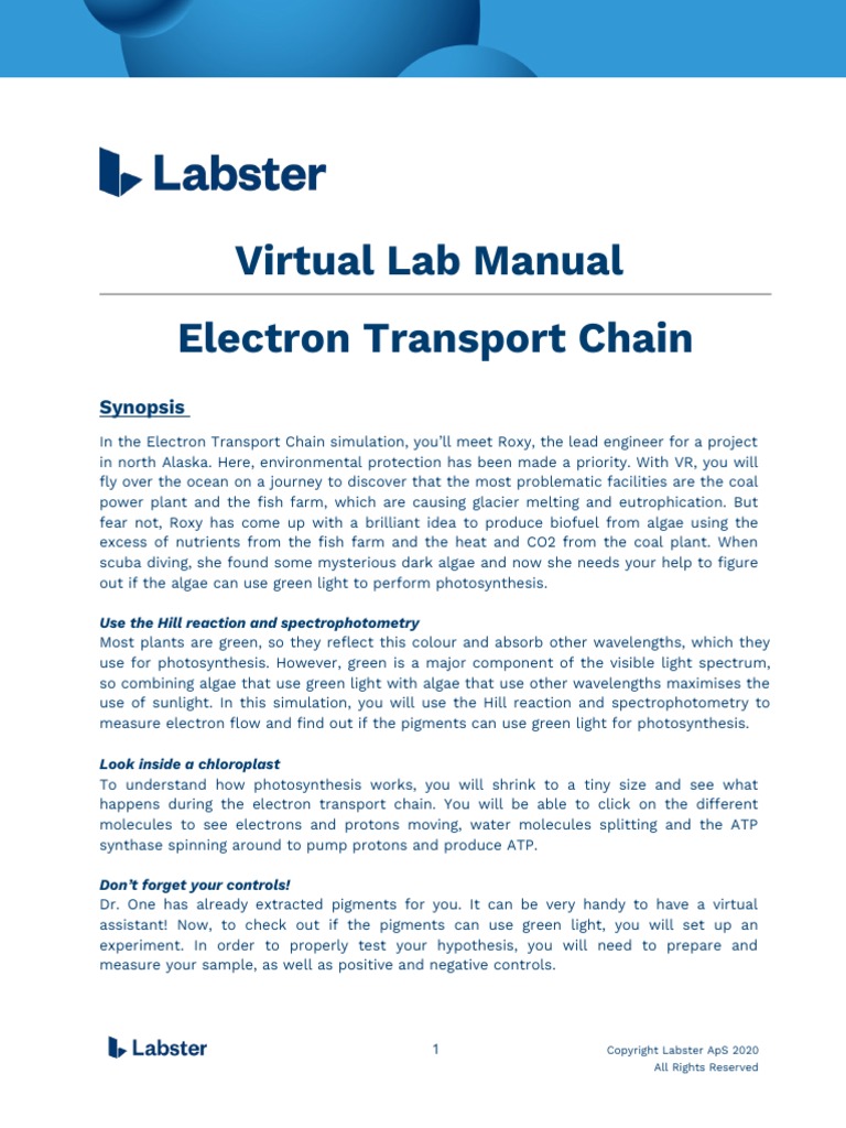 ETC Electron Transport Chain Lab Manual (English) | PDF | Photosynthesis | Redox