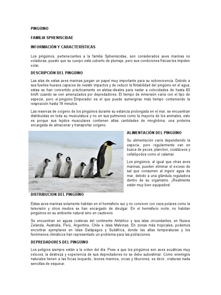 Pingüinos: Características y Hábitat | PDF | Pingüino | Organismos