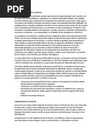 Características del Suelo Gleysol | PDF