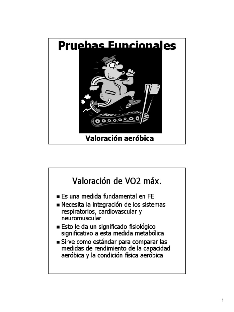Pruebas Funcionales Pruebas Funcionales | PDF | Validez (Estadísticas)