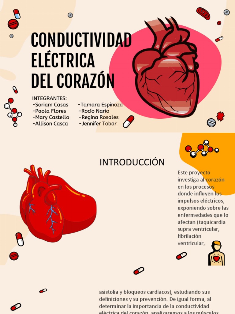 CONDUCTIVIDAD | PDF | Electrocardiografia | Sistema cardiovascular