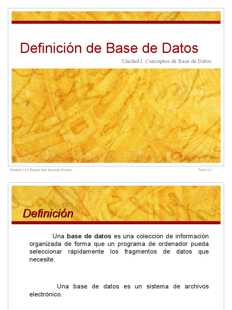 Definición y Estructura de Bases de Datos | PDF