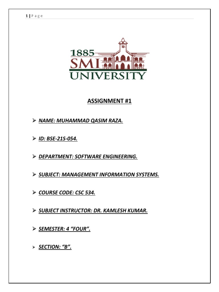 MIS Assignment 1 | PDF | Enterprise Resource Planning | Business Software