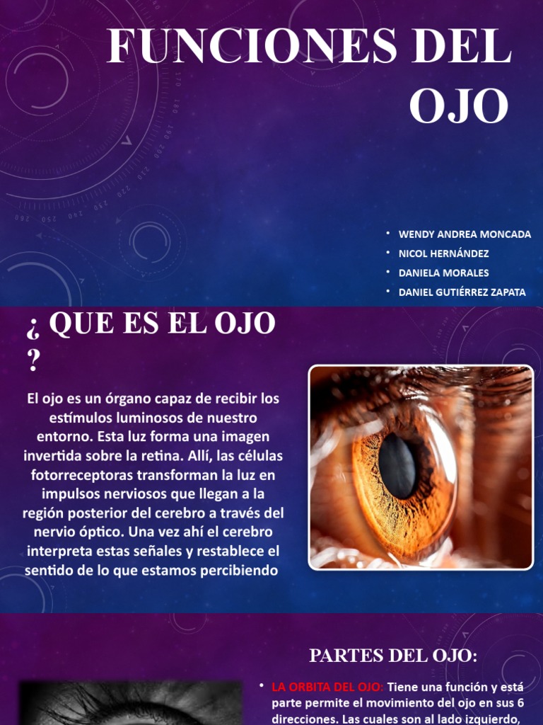 Funciones Del Ojo | PDF | Ojo humano | Percepción visual