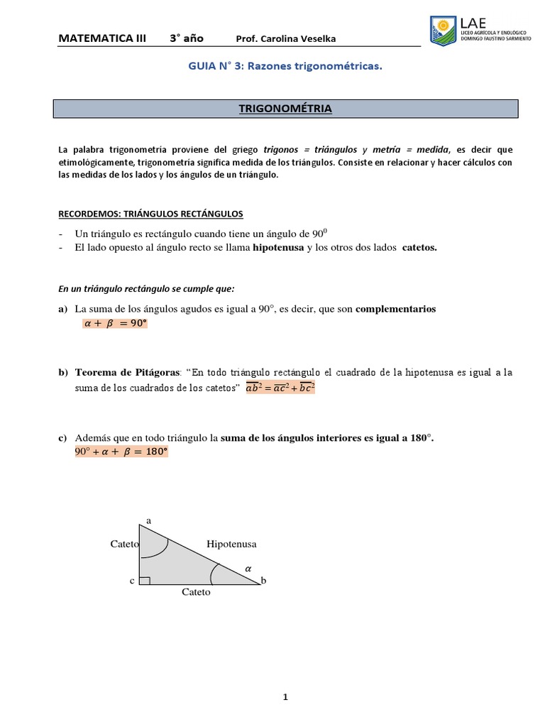 GUIA 3 - Razones Trigonométricas - 3° - LAE 2022 | Descargar gratis PDF | Funciones ...