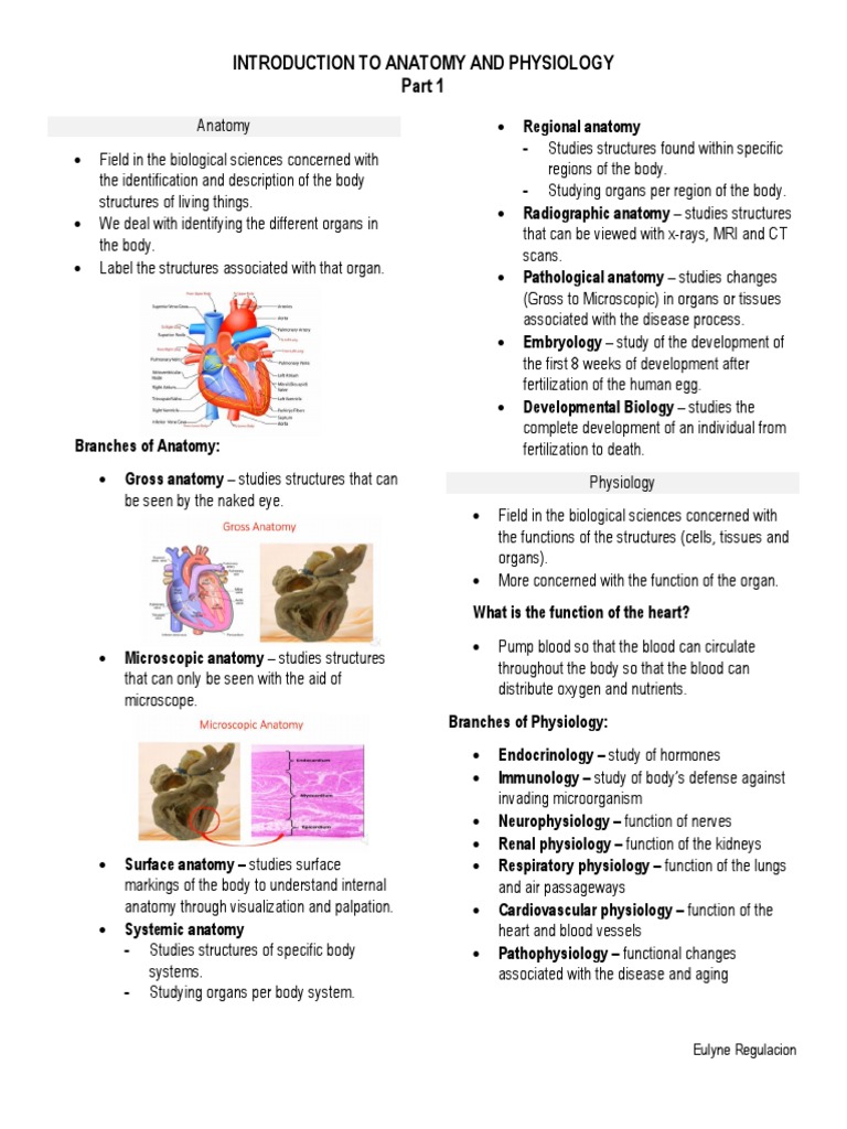 Introduction To AnaPhy Pt. 1 | PDF | Human Body | Anatomy