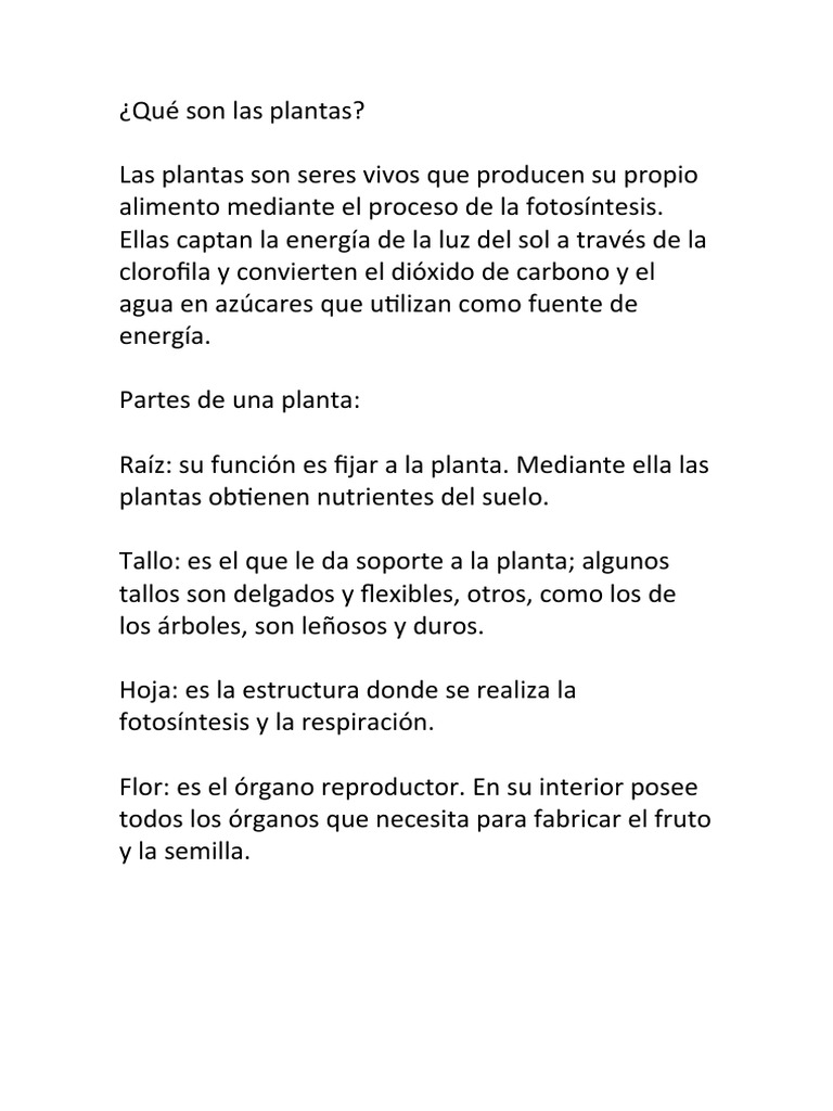 Las Plantas | PDF | Ciencia y matemáticas