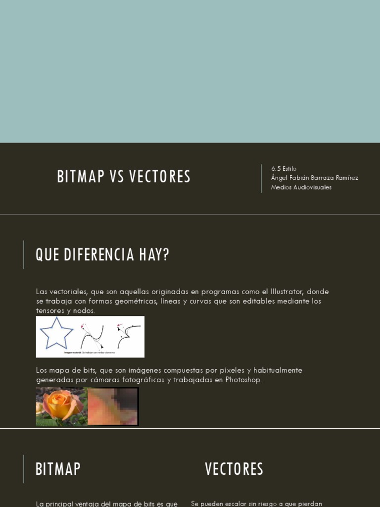 Comparación entre imágenes bitmap y vectores: ventajas y desventajas de cada formato | PDF ...