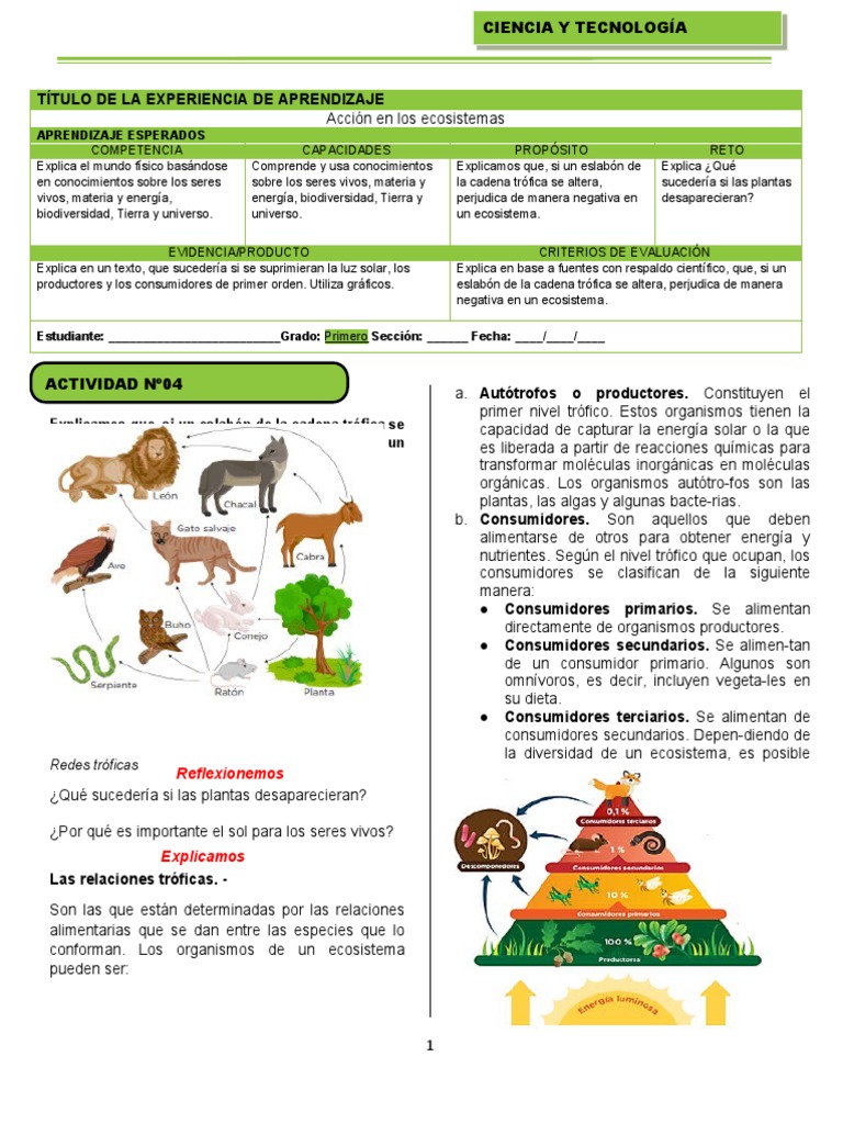 Cadena TR Pfica | PDF | Red alimentaria | Biomasa (Ecología)