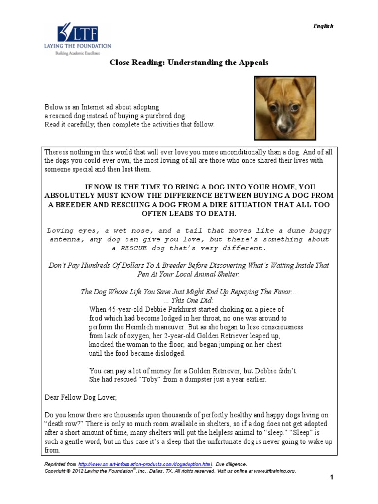 Dog Adoption Article | PDF