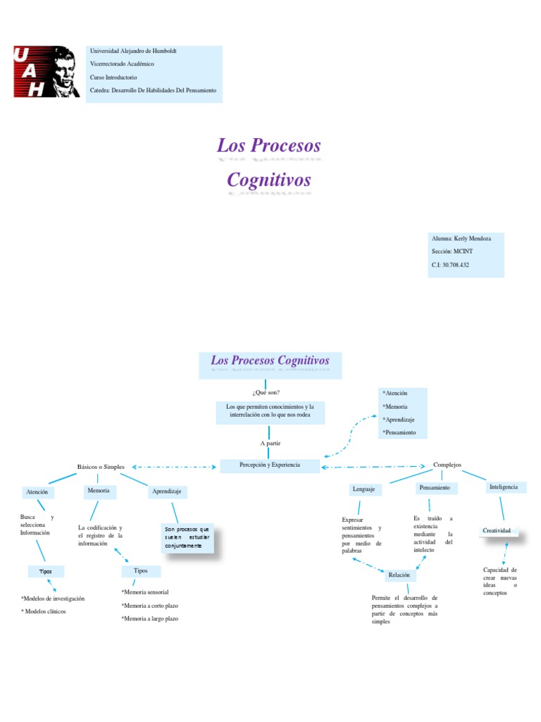 Mapa Conceptual Los Procesos Cognitivos | PDF | Pensamiento | Memoria