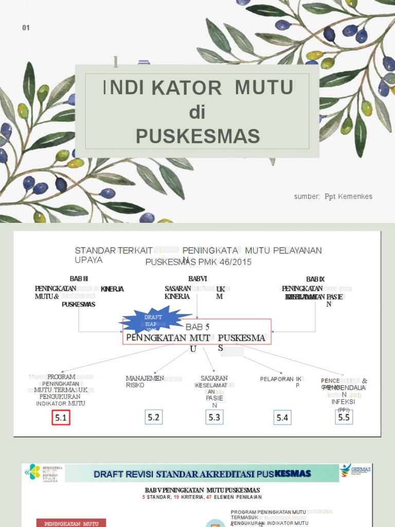 Indikator Mutu Puskesmas 2023 | PDF