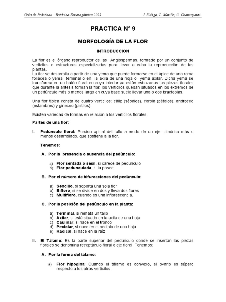 Practica #9 Morfologia de Flor | PDF | Flores | Tallo de la planta