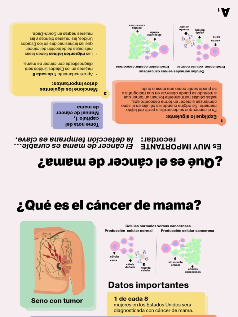 Cancer de Mama | PDF | Cáncer de mama | Cáncer