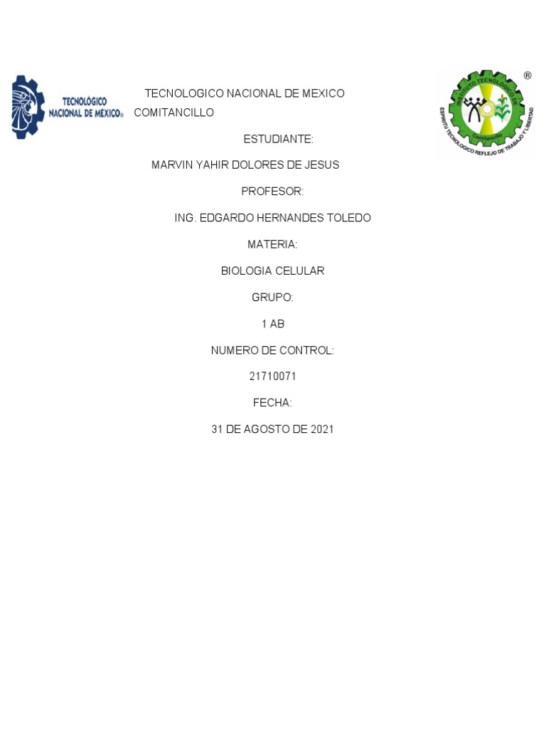 Biologia Celular 4 | PDF | Citoplasma | Citosol