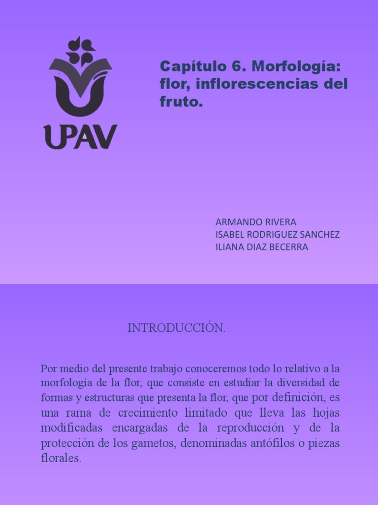 Morfología y Clasificación Floral | PDF | Flores | Técnicas hortícolas